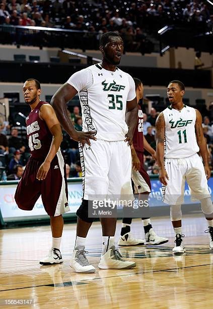 The Bulls Pen, Home of the USF Bulls